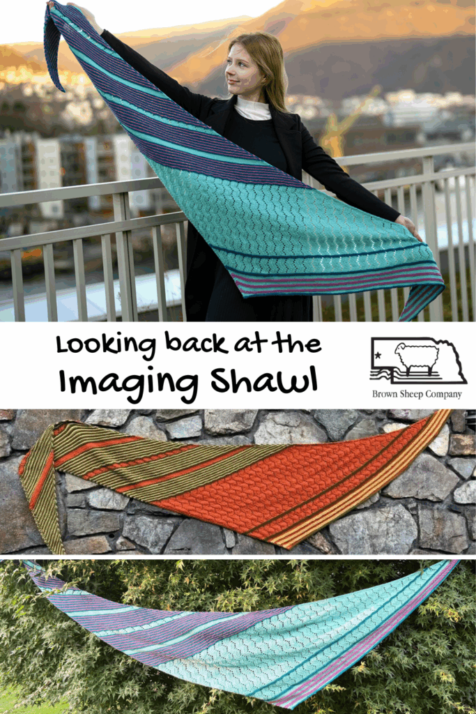 Looking Back at the Imaging Shawl - Brown Sheep Company, Inc.
